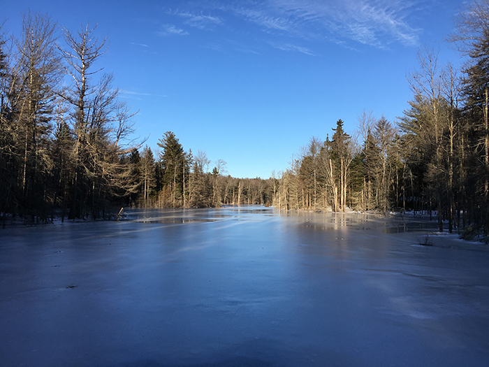 Brighton Photo 1 – NH Fish and Game Department