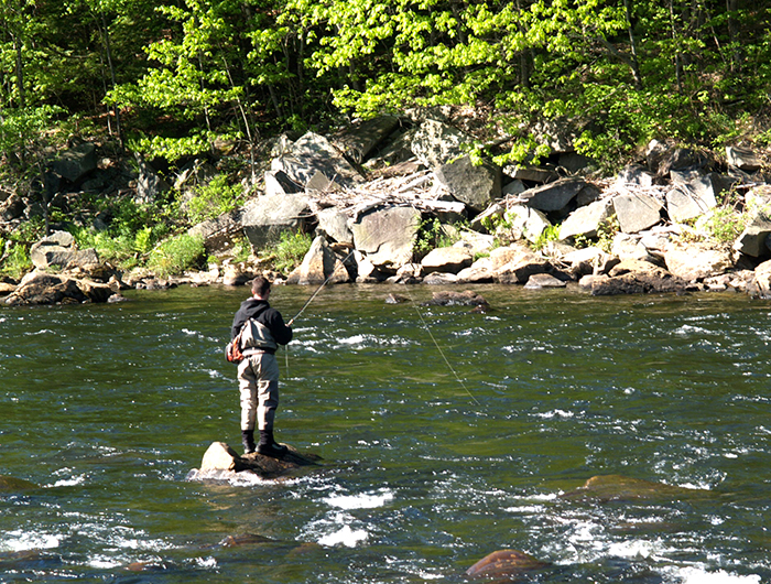 Trout Season Is Coming to New Hampshire’s Managed Waterbodies – NH Fish ...