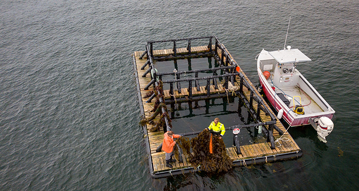 UNH Prototype AquaFort – NH Fish and Game Department