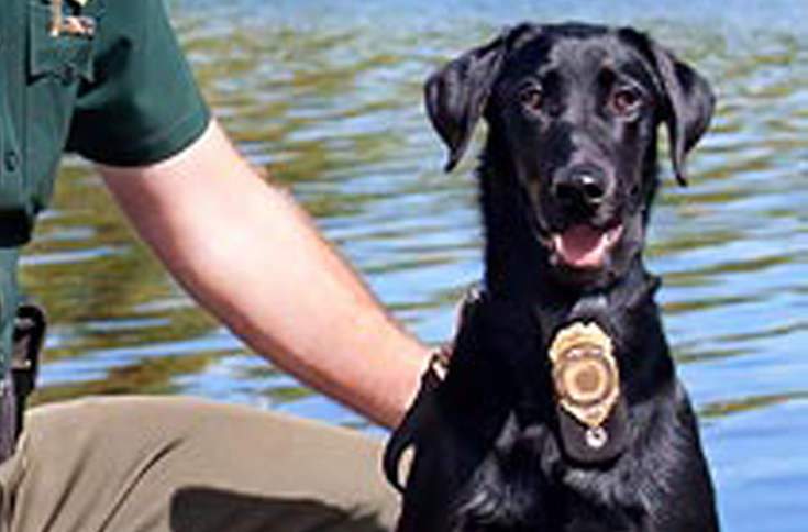 bill-ruby – NH Fish and Game Department