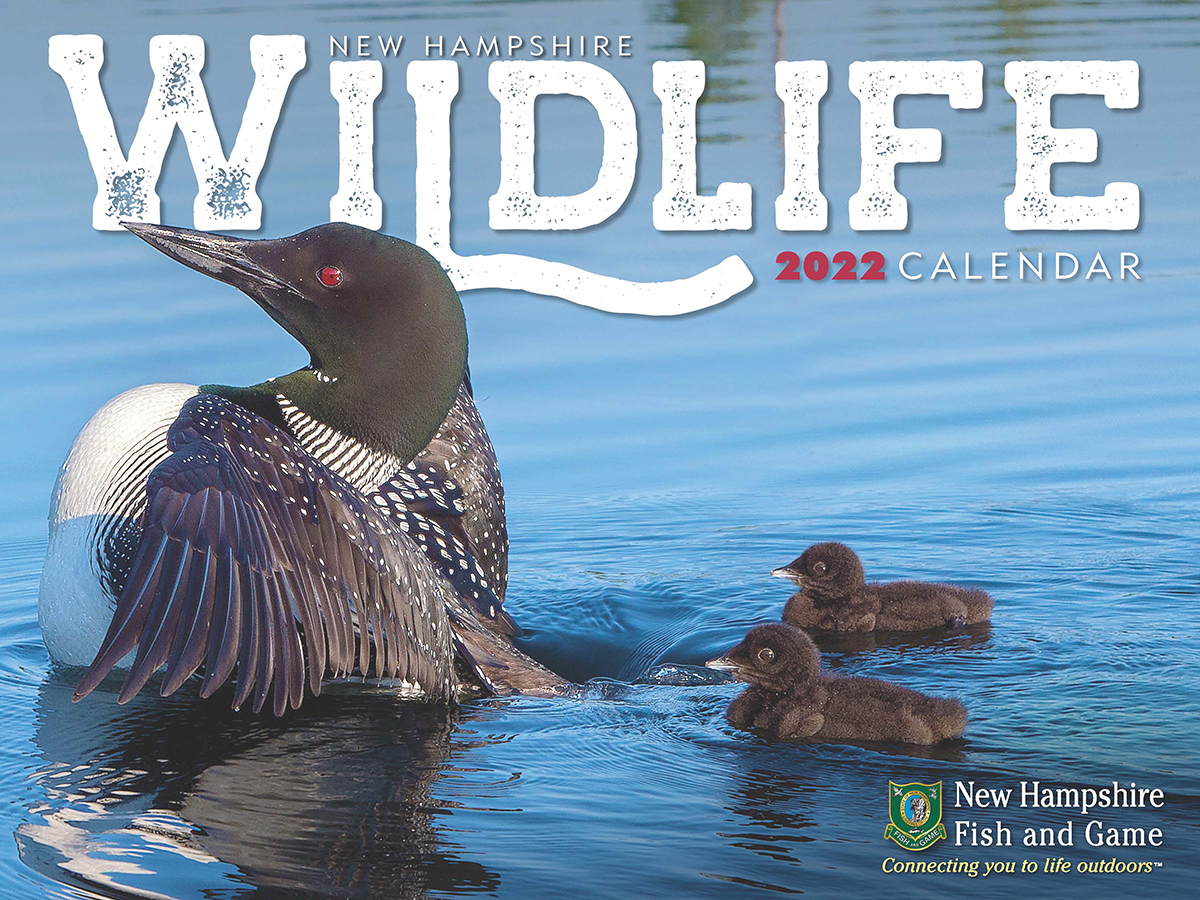 2022 Wildlife Calendar COVER – NH Fish and Game Department