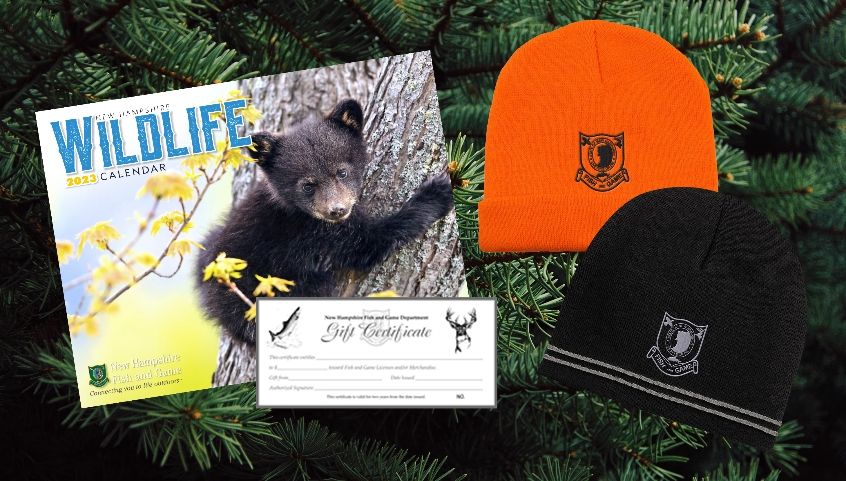 NHFG_ShopWild – NH Fish and Game Department