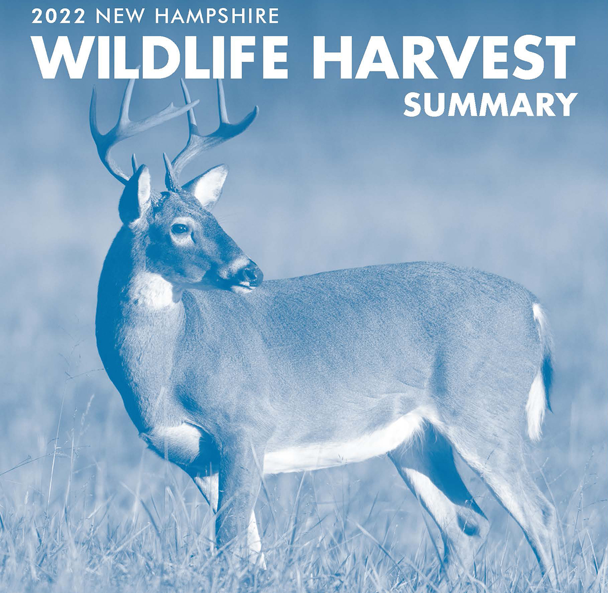 2022 New Hampshire Wildlife Harvest Summary Now Available – NH Fish and ...