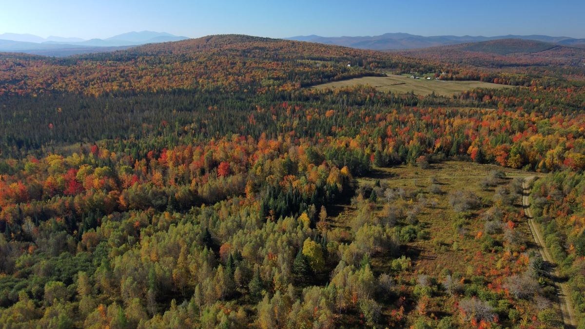 Fish and Game Acquires New Wildlife Management Area in Coos County – NH ...