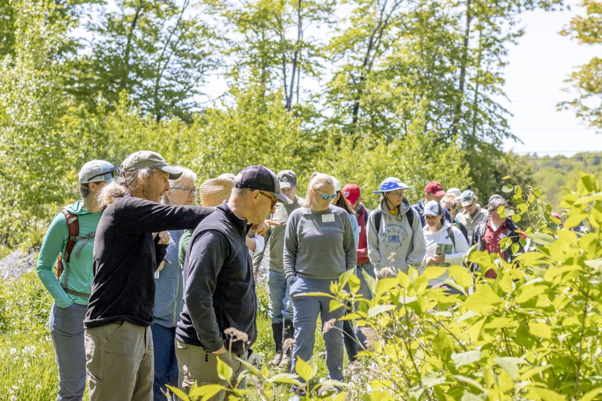 NH Coverts Project Seeks Volunteers for New Hampshire’s Wildlife and Forests – NH Fish and Game ...